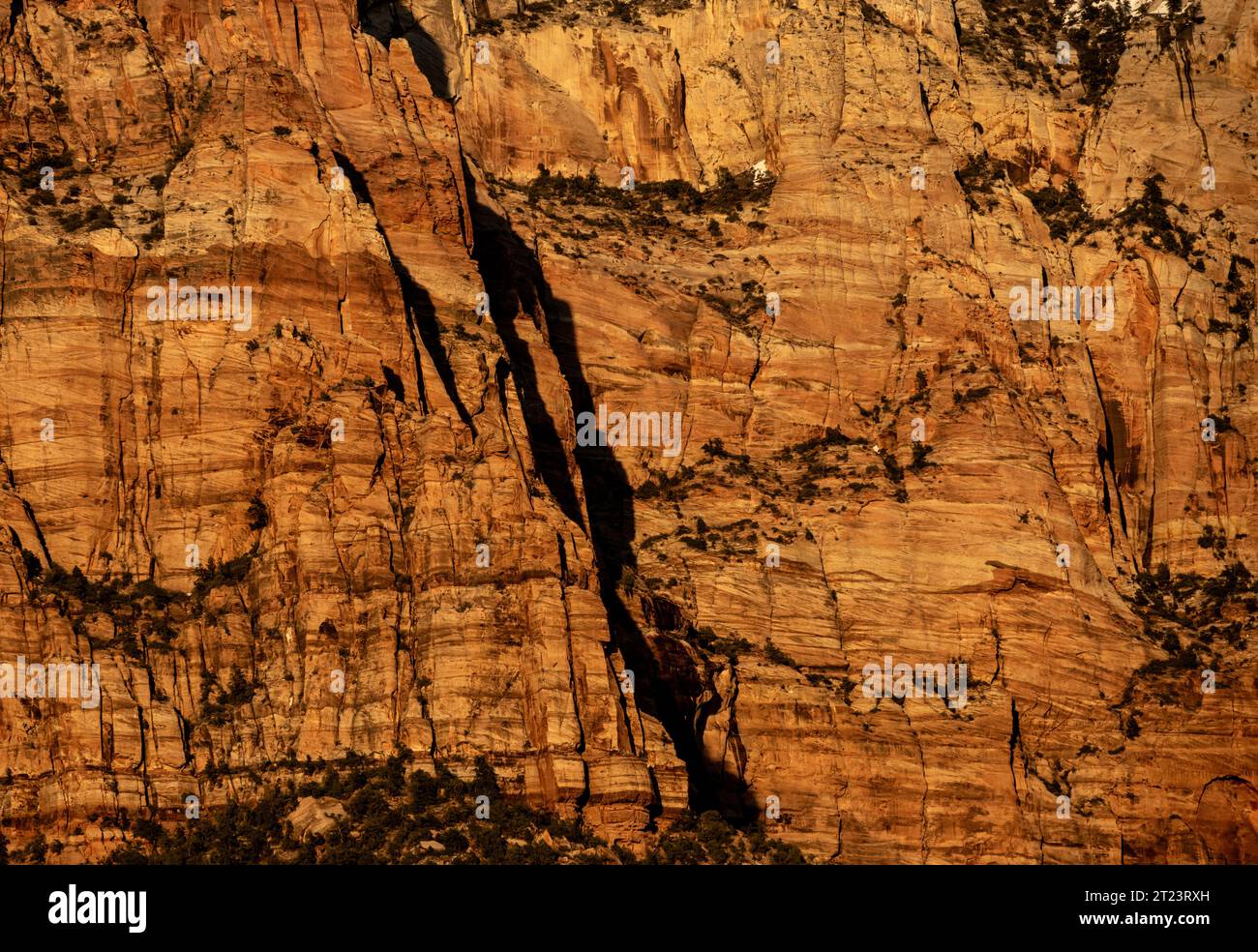 Golden Cliffs of Zion Rock Walls at Sunset in early spring Stock Photo ...