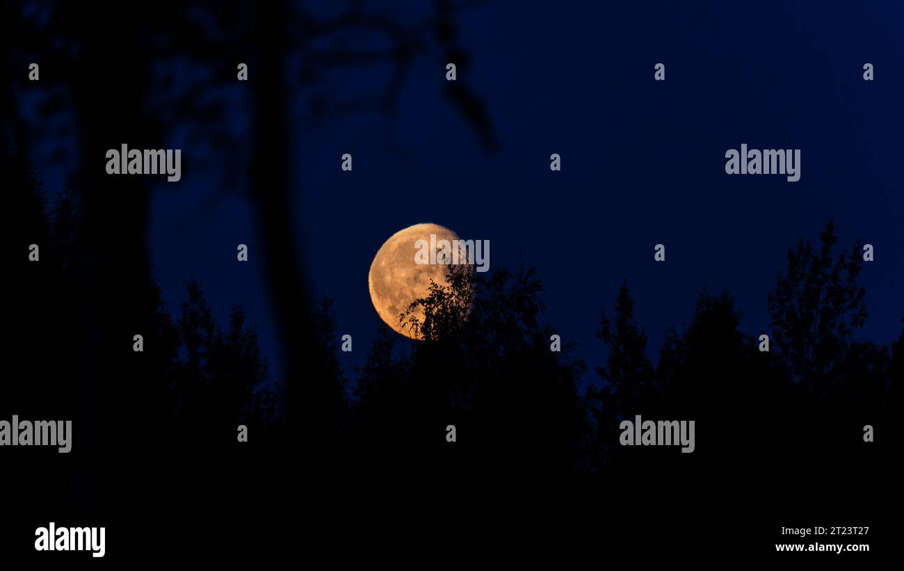 Moon Starting to rise in Fairbanks , Alaska Stock Photo - Alamy