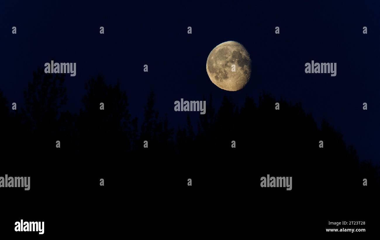 Cool White Balanced Moon Rising over Fairbanks , Alaska Stock Photo - Alamy