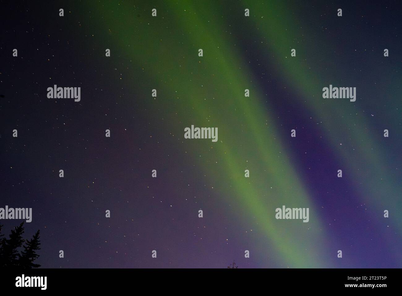 The Stars and Northern Lights seen like rays of beam in Fairbanks ...