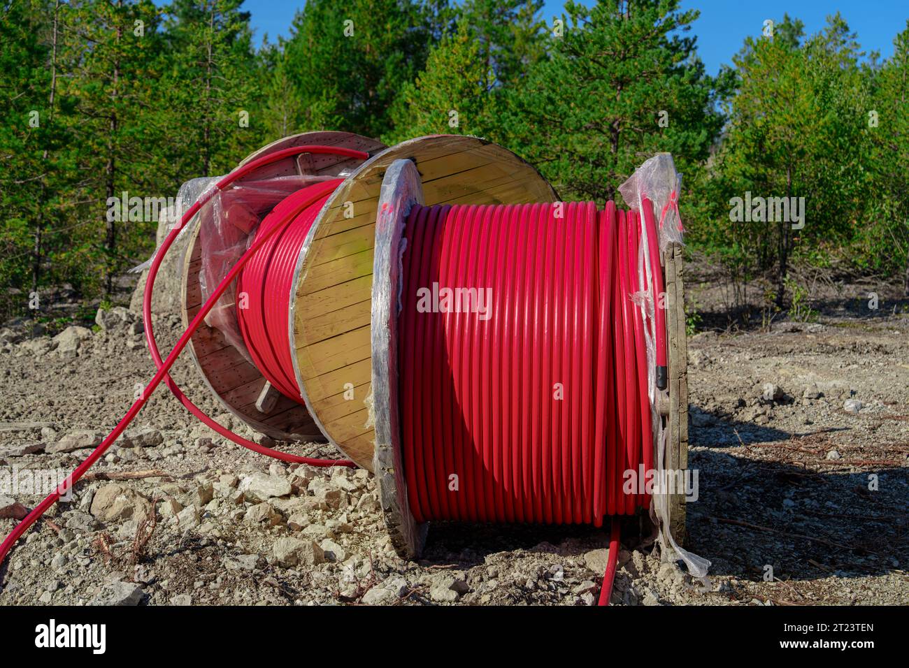 Wooden Reel with High Voltage Red Cable in Forest: Ready for ...