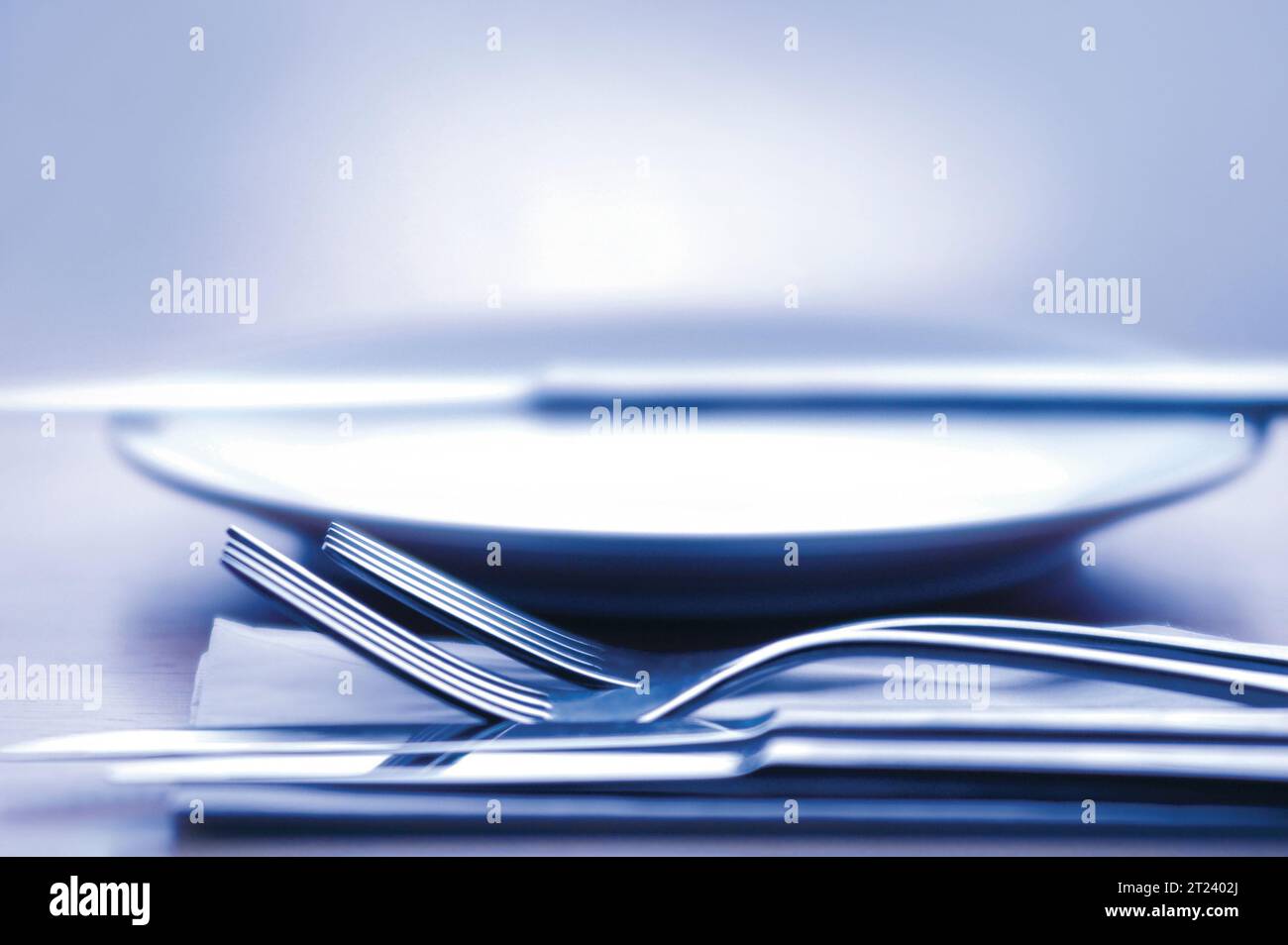 formal fine dining place setting featuring plate, napkin,cutlery Stock ...