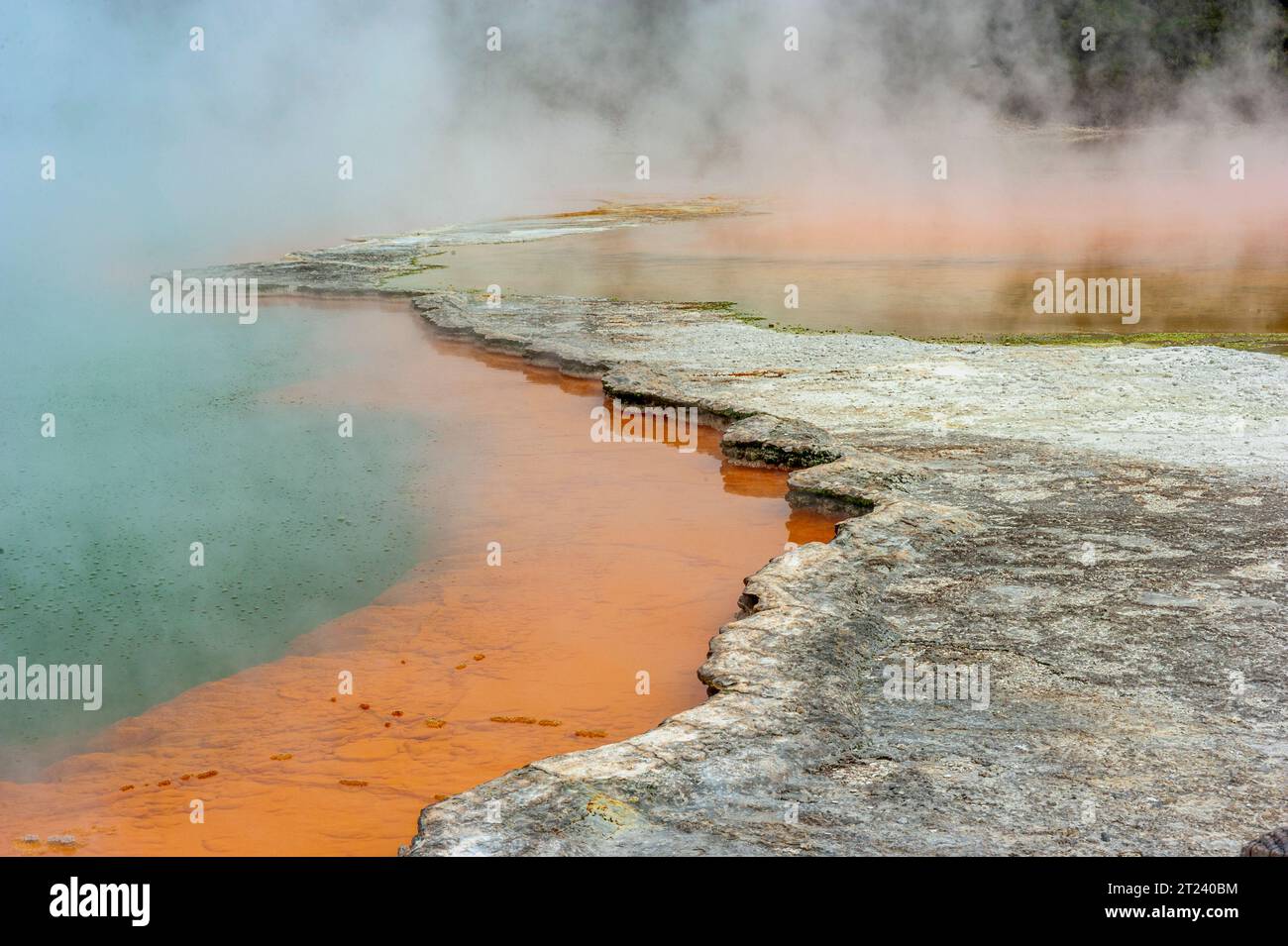Champagne Pool, Wai-o-tapu, Rotorua region, North Island, New Zealand ...
