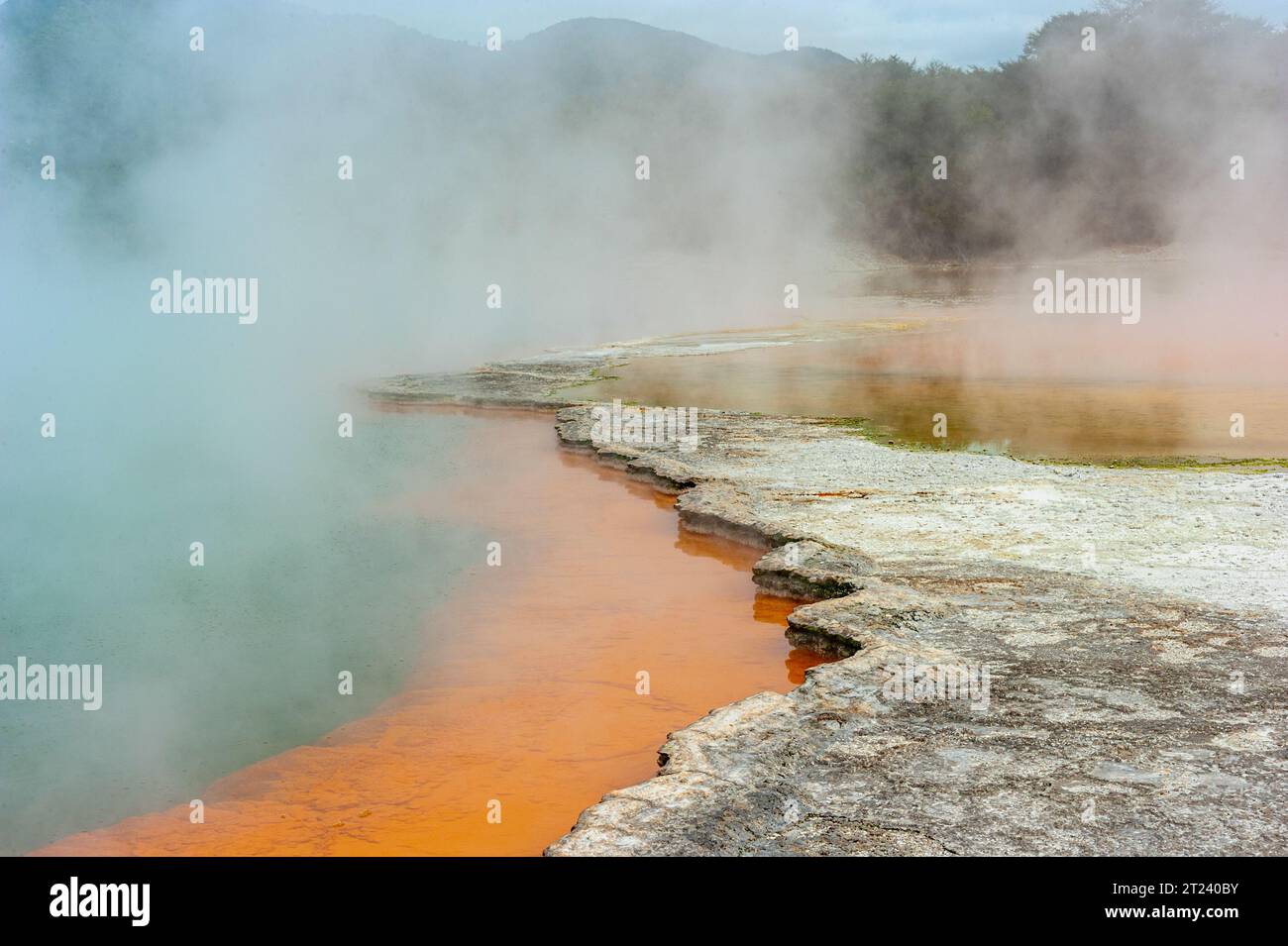 Champagne Pool, Wai-o-tapu, Rotorua region, North Island, New Zealand ...