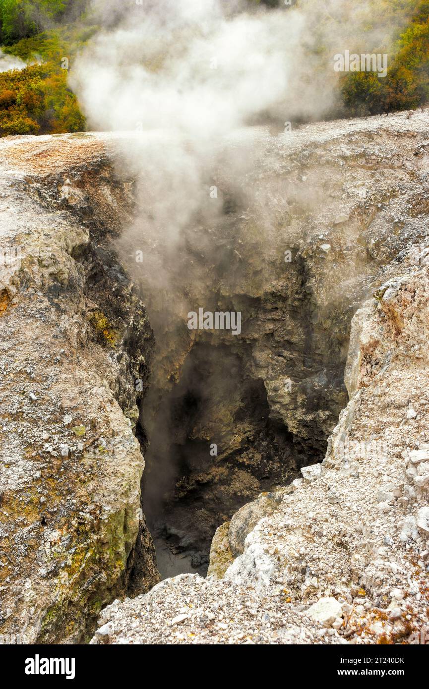 Geaothermal steam vent, Rotorua,New Zealand Stock Photo - Alamy