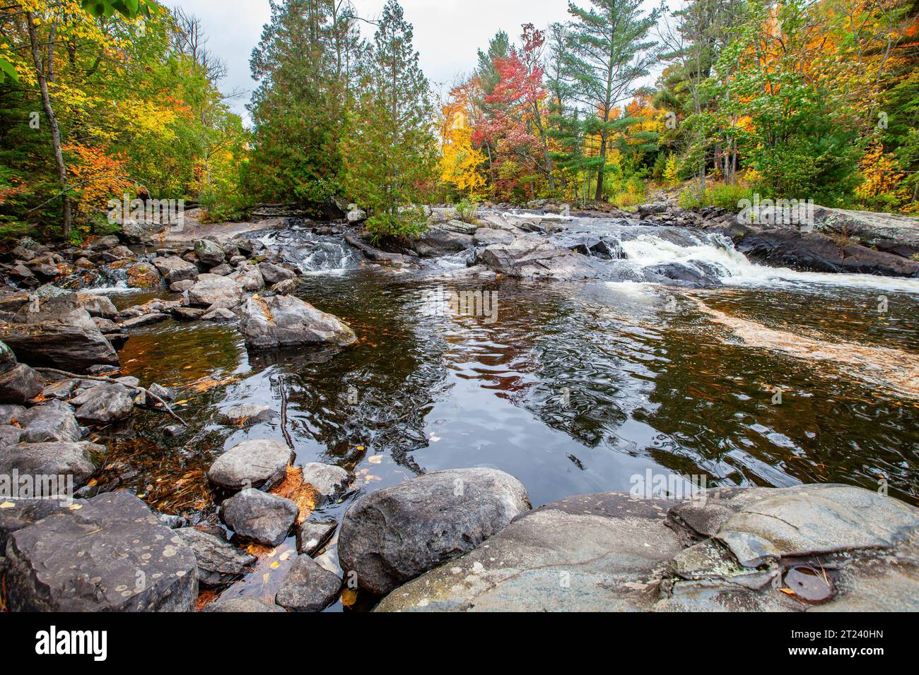 Leaves and trees landscape landscape outdoor season waterfalls hi-res ...