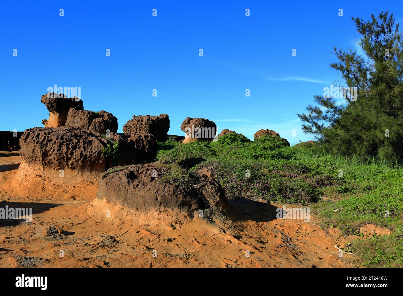 Natural rock formation at Yehliu Geopark, one of most famous wonders in ...