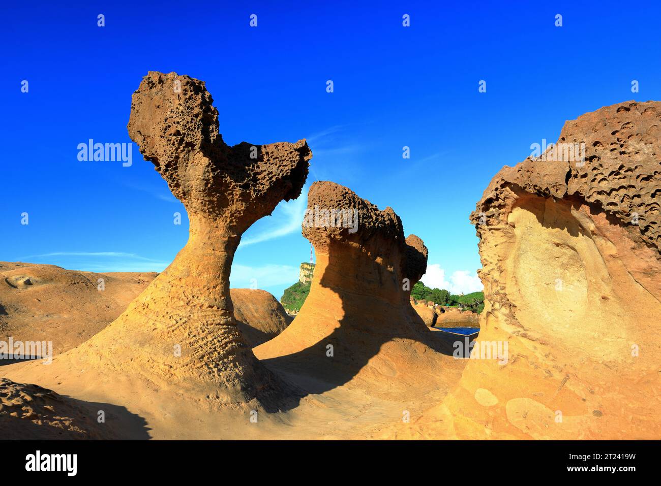 Natural rock formation at Yehliu Geopark, one of most famous wonders in ...