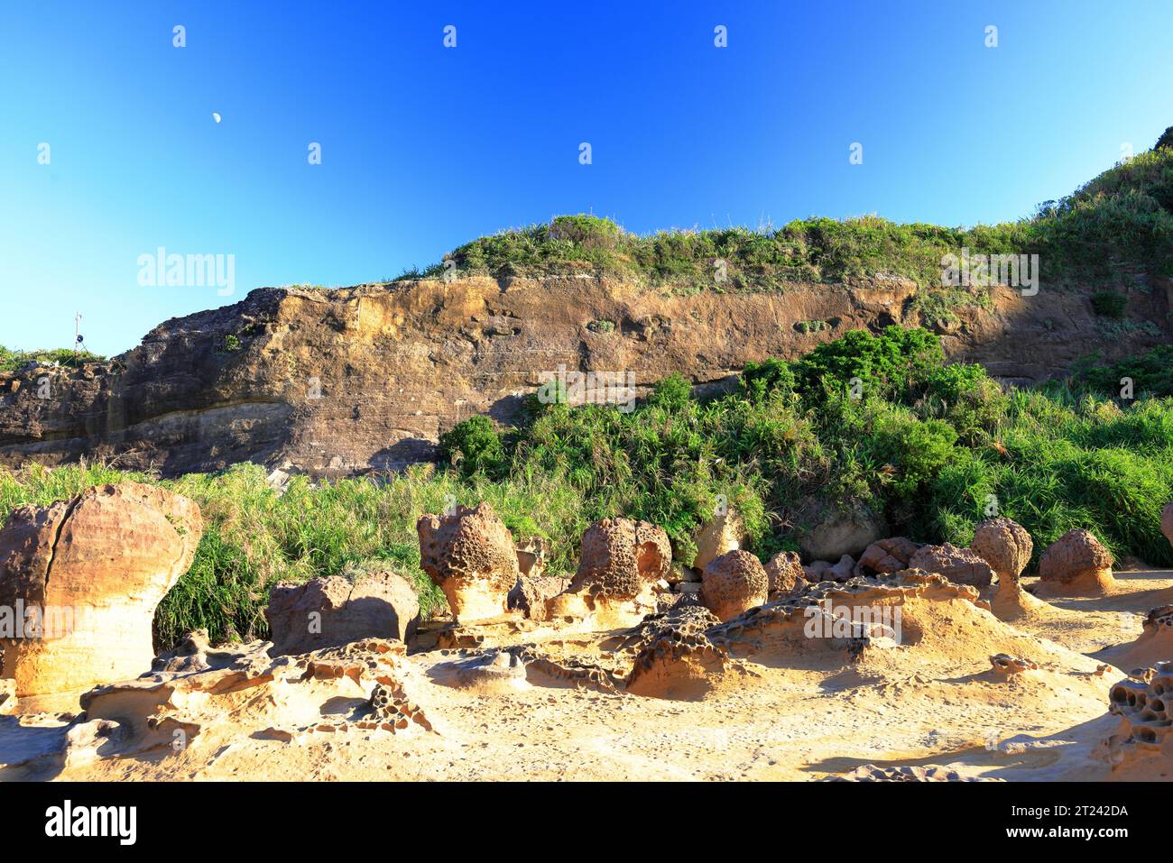 Natural rock formation at Yehliu Geopark, one of most famous wonders in ...