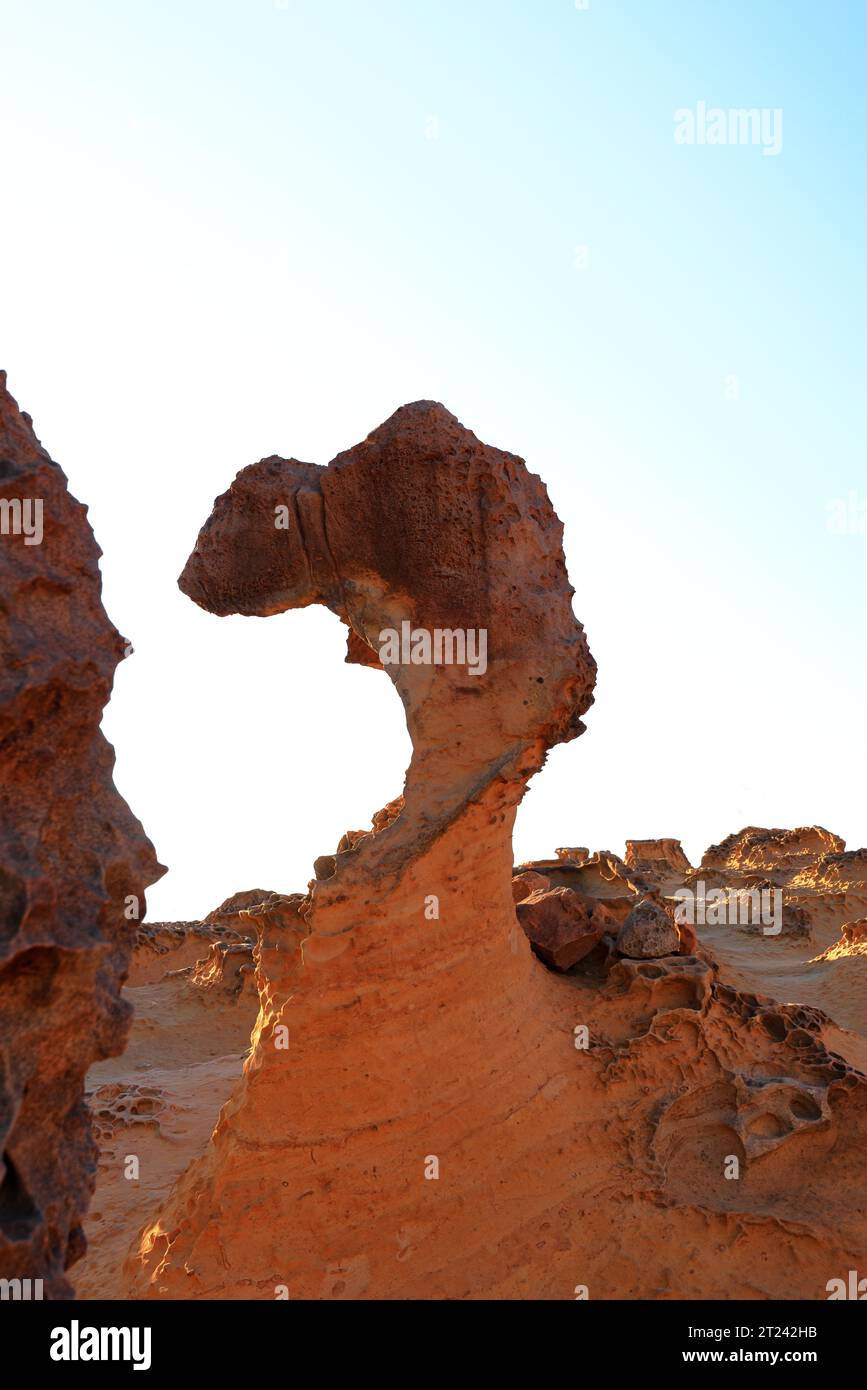 Natural rock formation at Yehliu Geopark, one of most famous wonders in ...