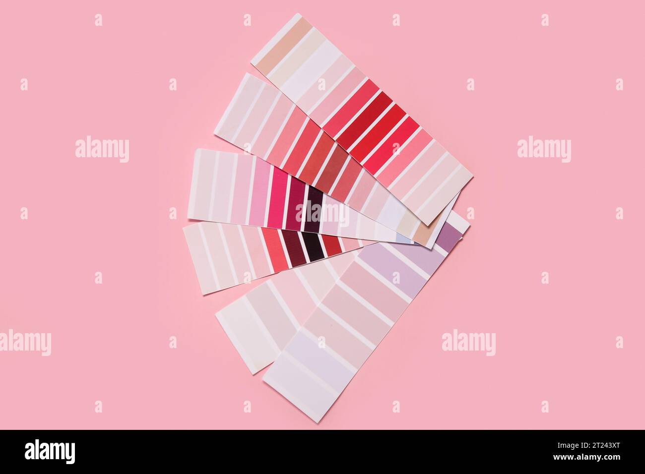 Many color palettes on pink background Stock Photo - Alamy