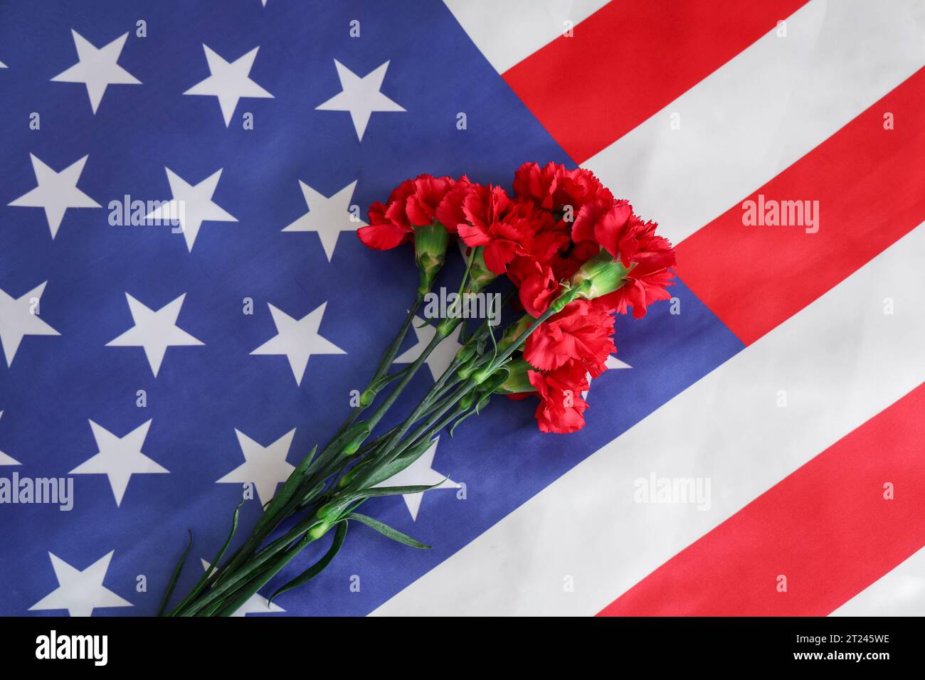 Liberty carnation hi-res stock photography and images - Alamy