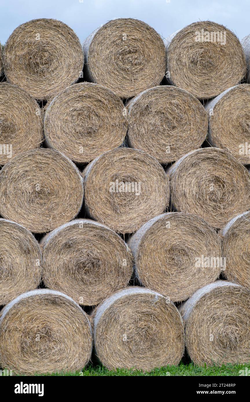 Hay rolls at farm hi-res stock photography and images - Alamy
