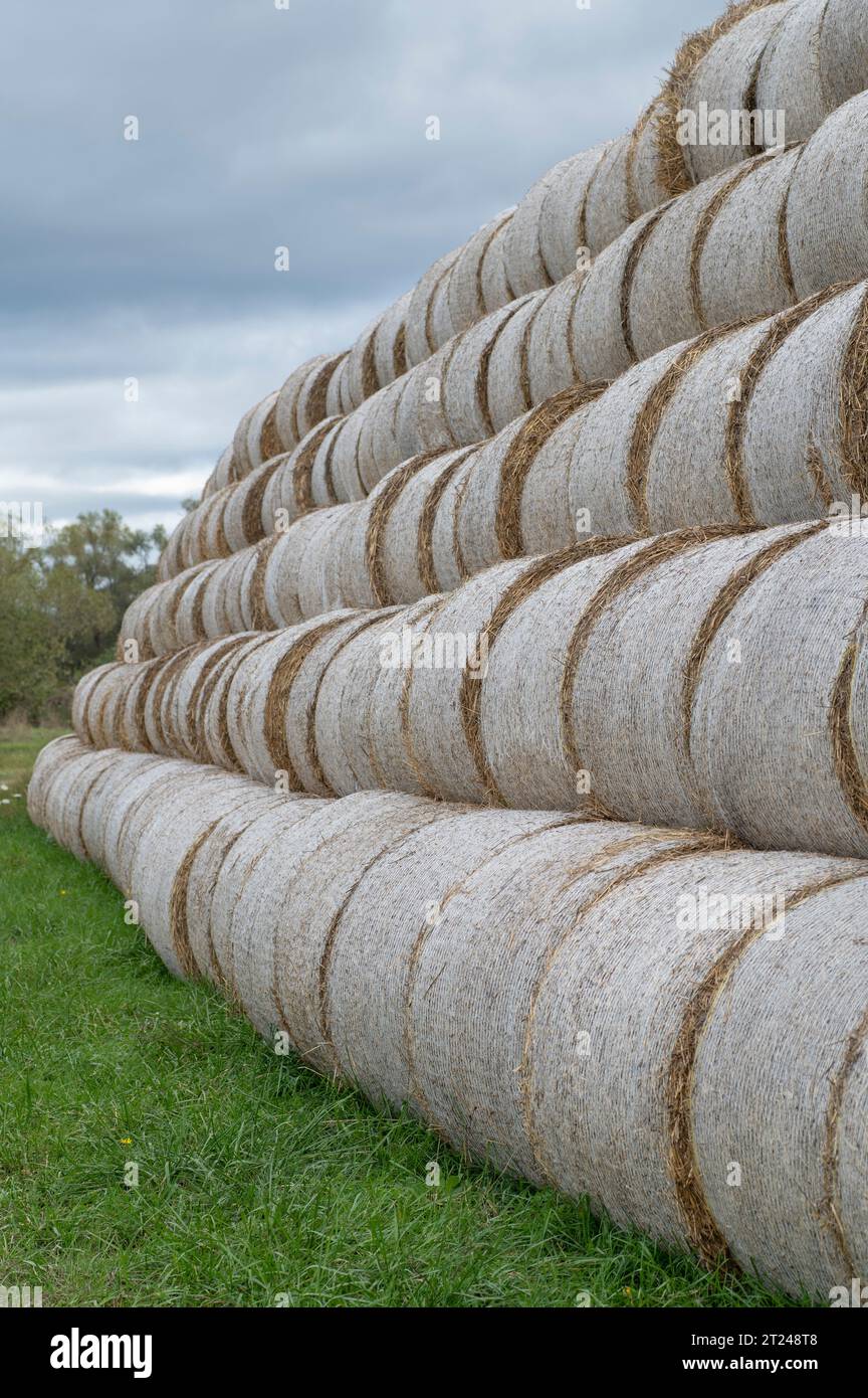 Pile of hay balls hi-res stock photography and images - Alamy