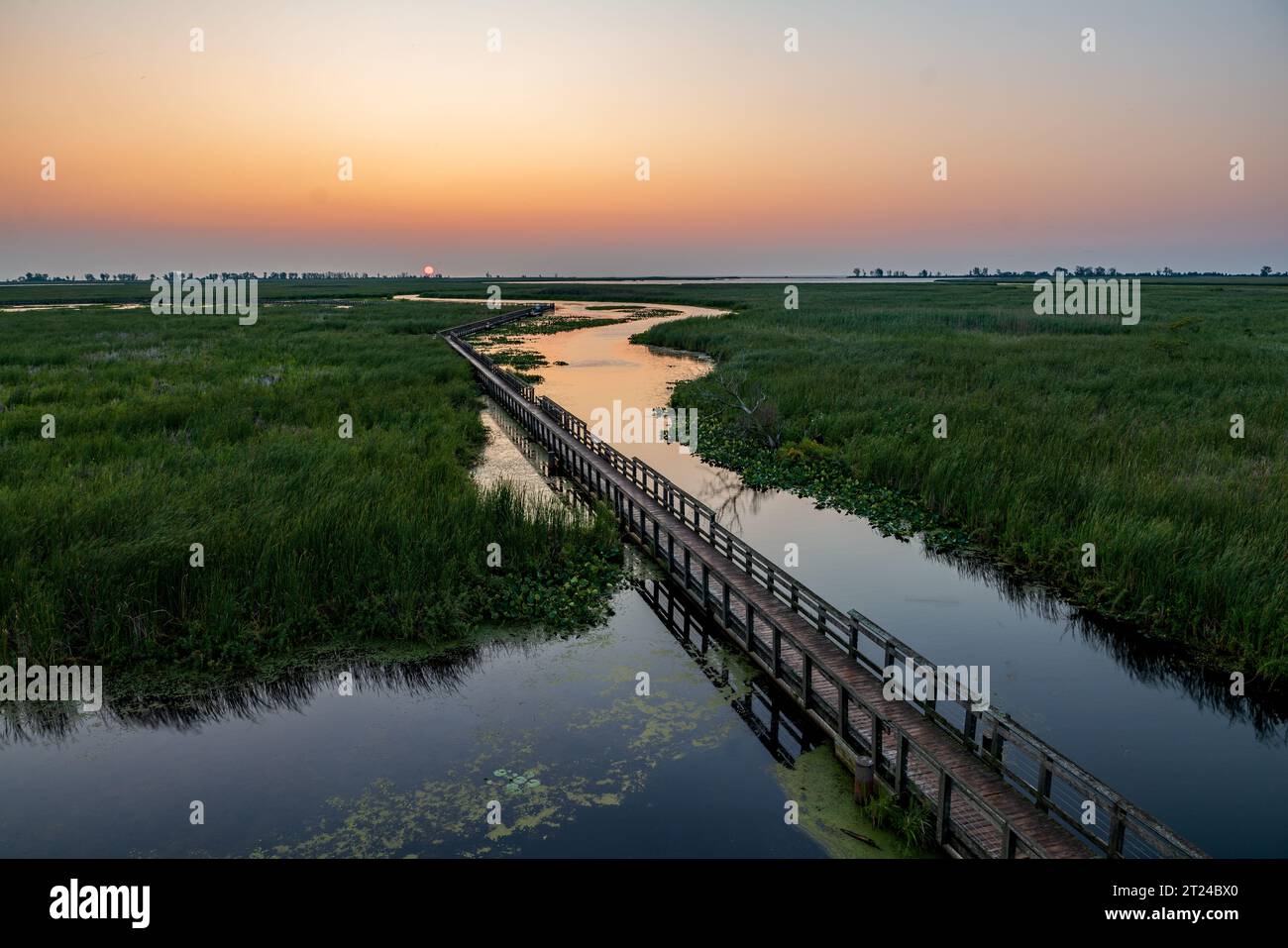 The marsh boardwalk at sunrise in Point Peele National Park Stock Photo ...