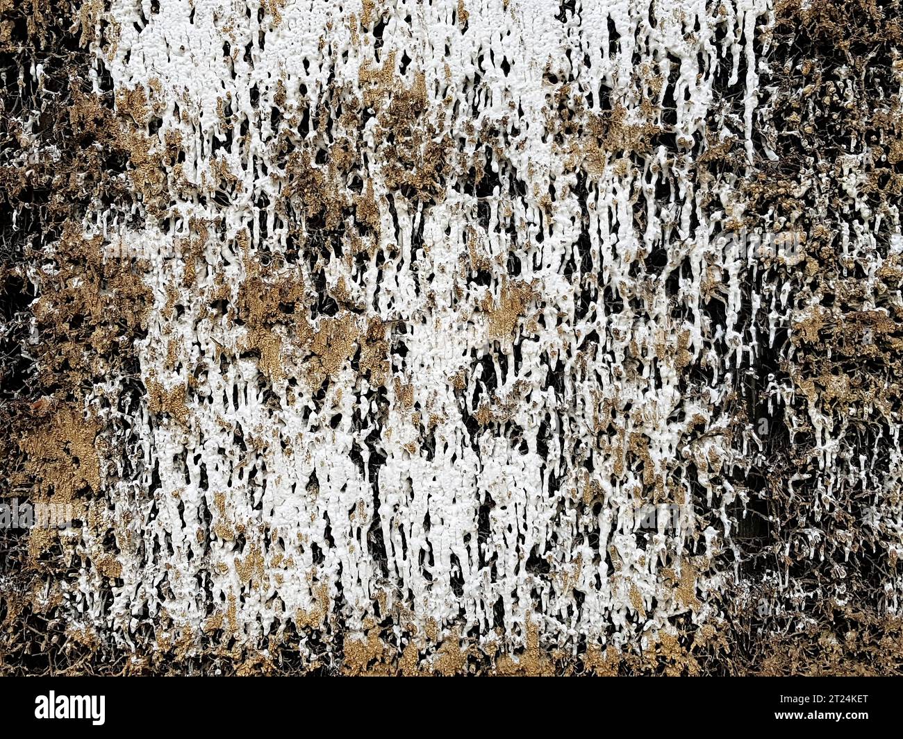 Salt crust on the brushwood bundles of a graduation house. The salt ...
