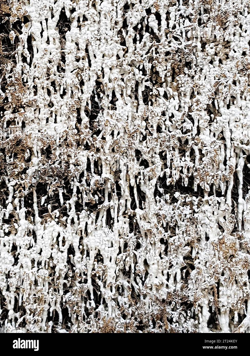 Brine solution hi-res stock photography and images - Alamy