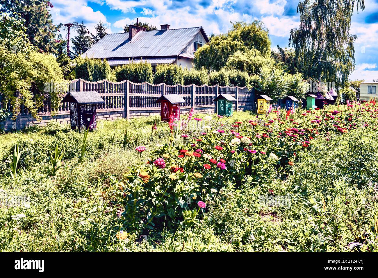 View of an apiary with colorful beehives with floral patterns Stock ...