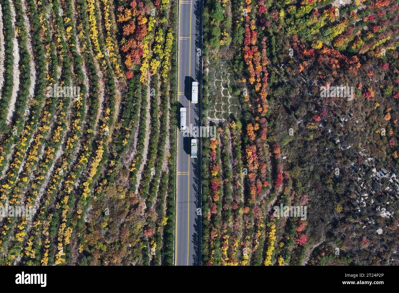 **CHINESE MAINLAND, HONG KONG, MACAU AND TAIWAN OUT** Aerial photo ...