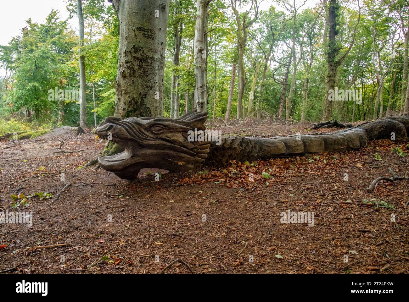Intricate wood carving of a Chinese dragon on a fallen tree in the ...