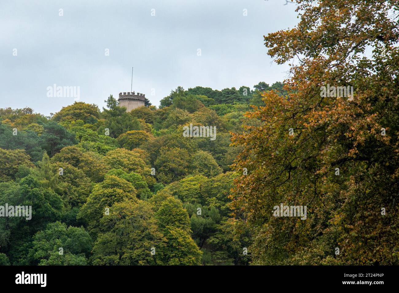 The top of Nelson's tower rising above the treetops in Forres ...