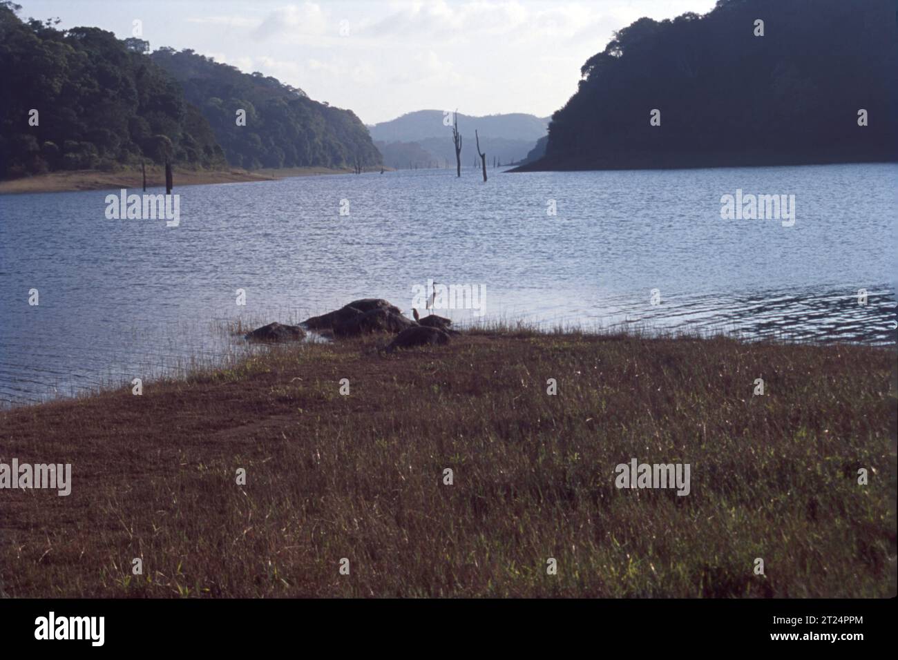 Word kerala state india hi-res stock photography and images - Alamy