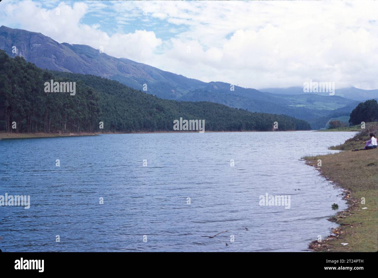 Kundala Lake, 20 Kms from Moonar, Kerala, India Stock Photo - Alamy