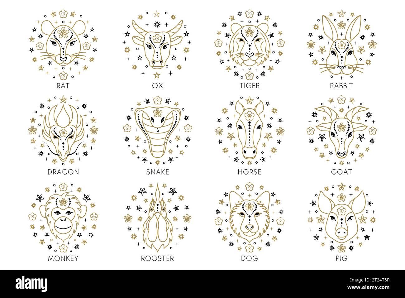 Collection of zodiac signs Stock Vector Image & Art - Alamy