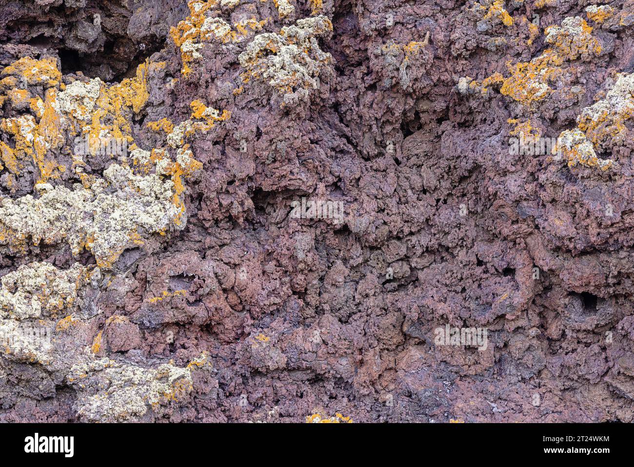 Detailed rock structure with lichen in a spatter cone in the Craters of ...
