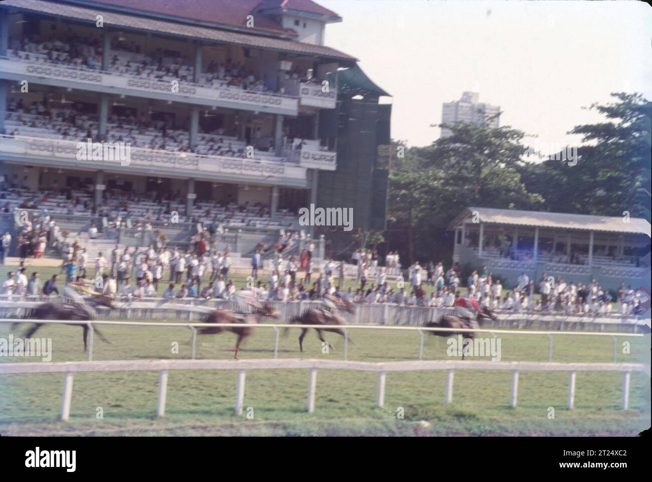 The Mahalaxmi Racecourse is a horse racing track in Mahalaxmi ...