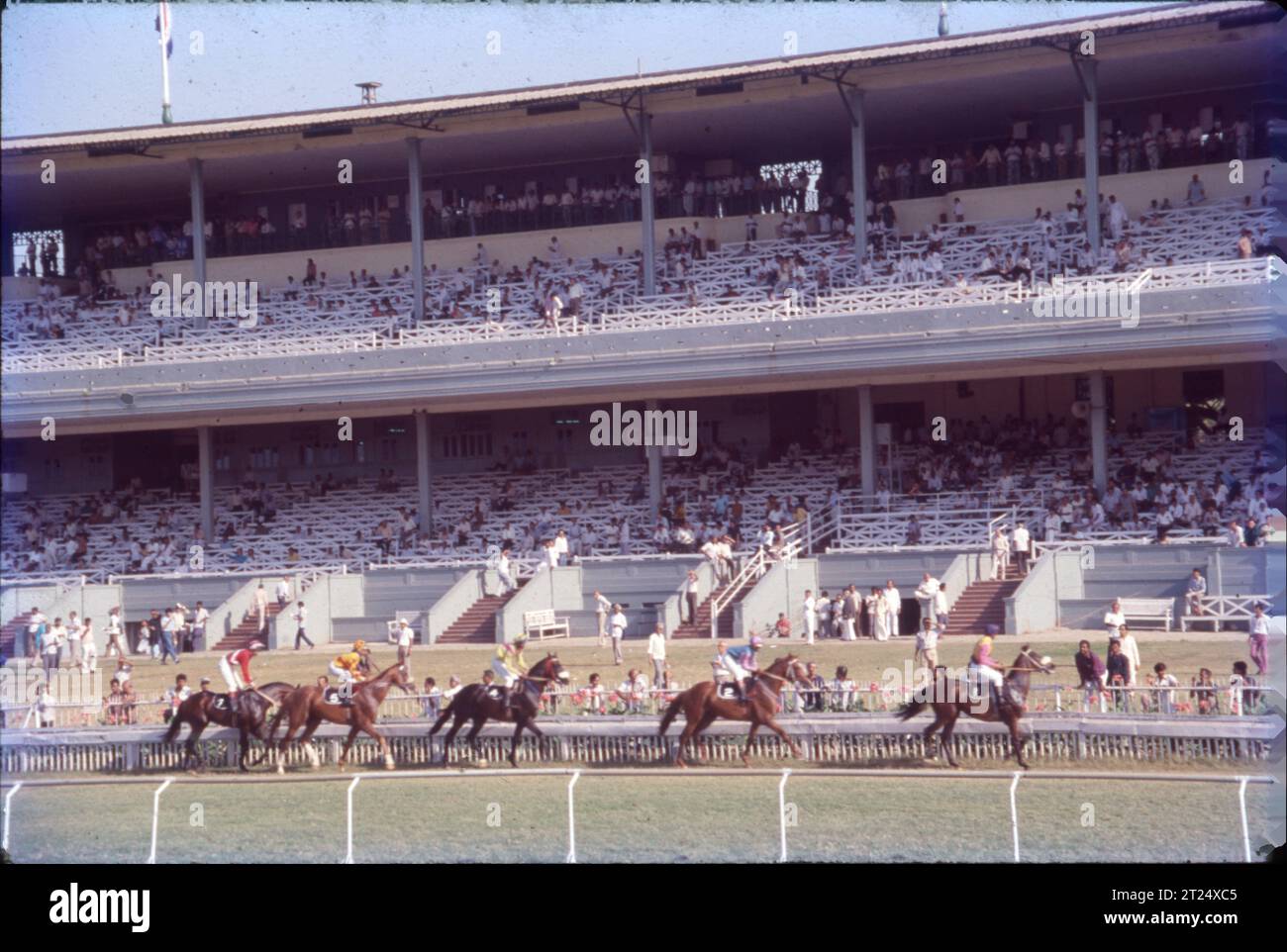 The Mahalaxmi Racecourse is a horse racing track in Mahalaxmi ...