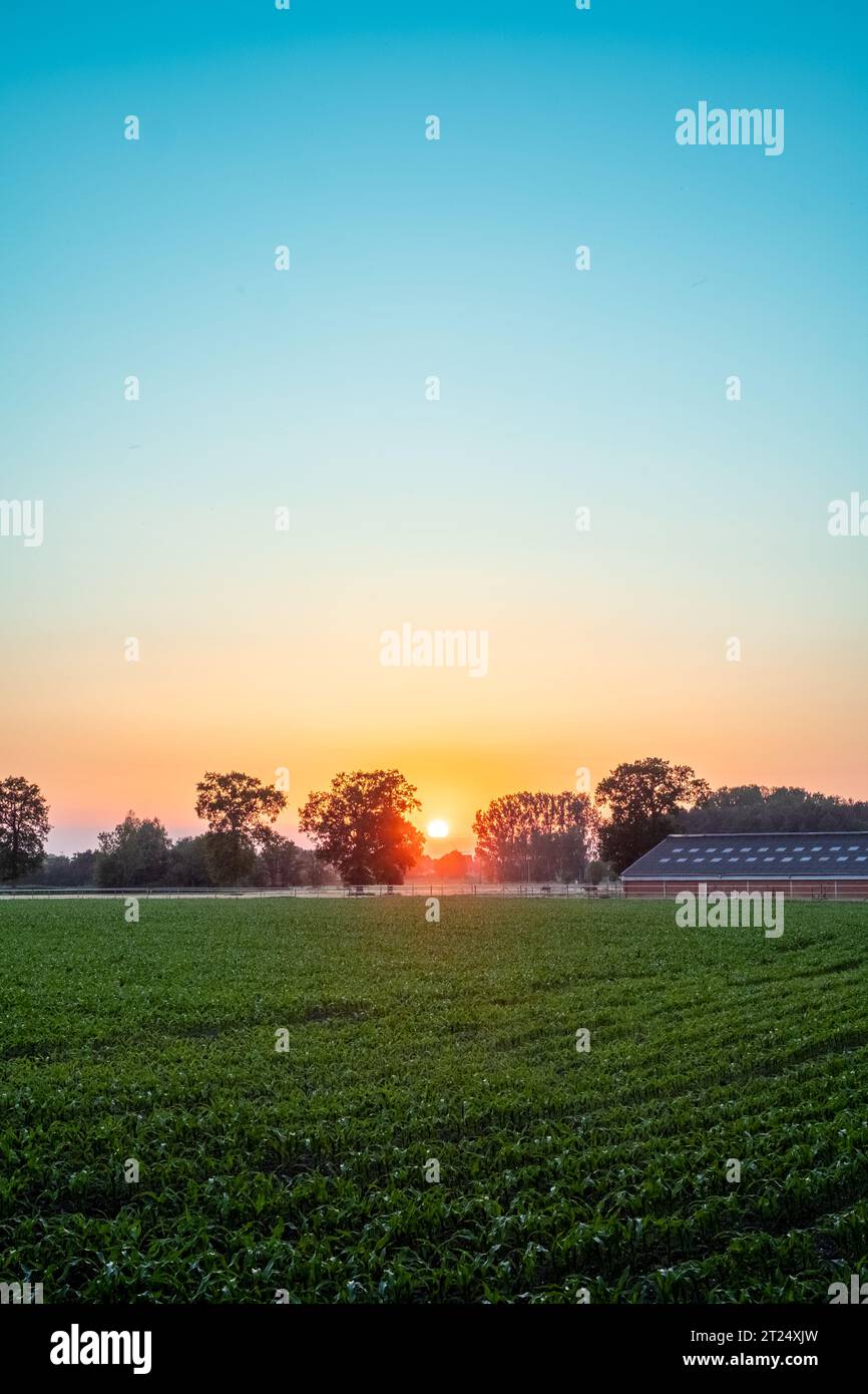 A breathtaking scene of a gradient blue to orange sunset sky with the ...