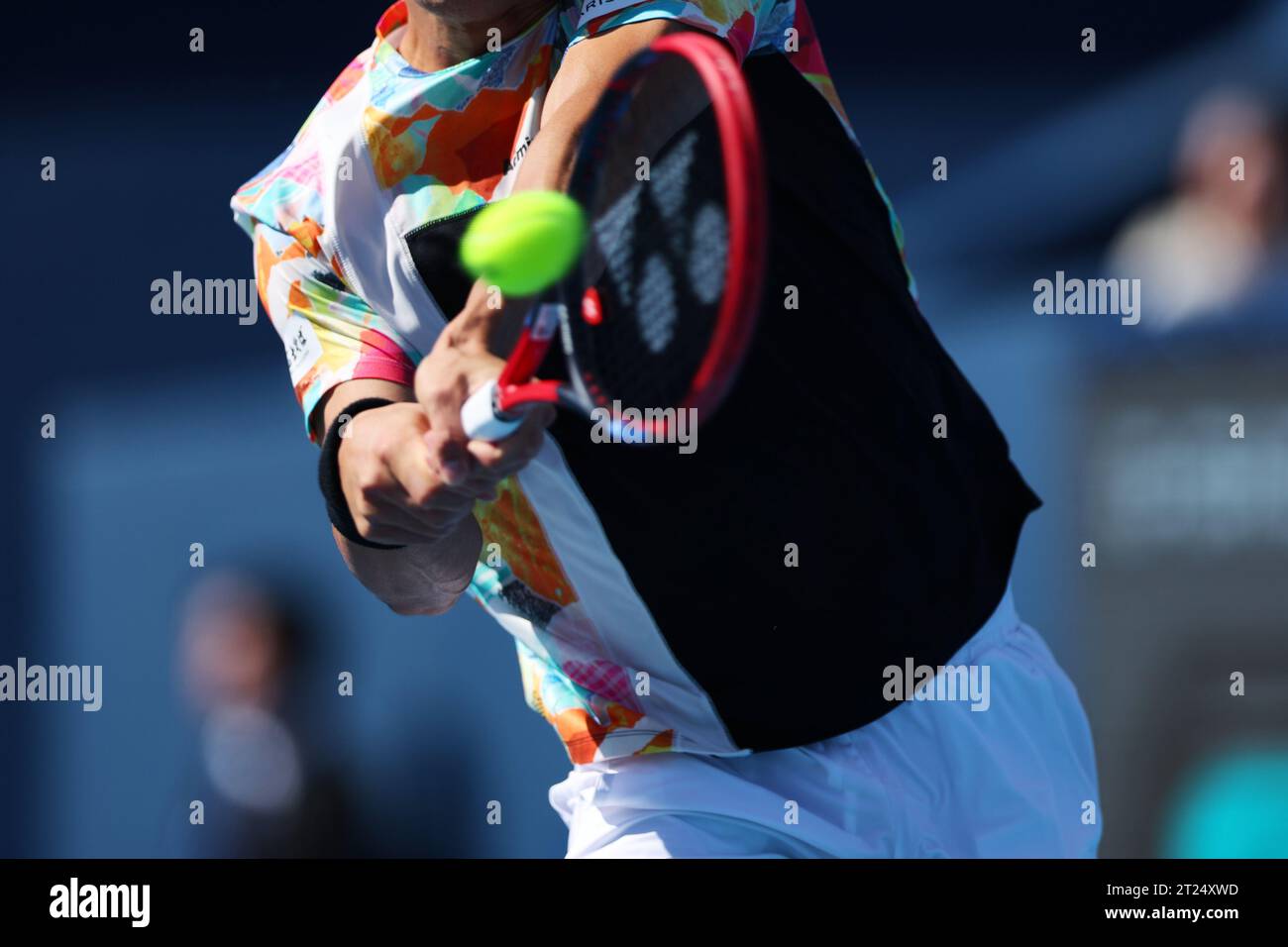 Ariake Coliseum, Tokyo, Japan. 17th Oct, 2023. Sho Shimabukuro (JPN ...