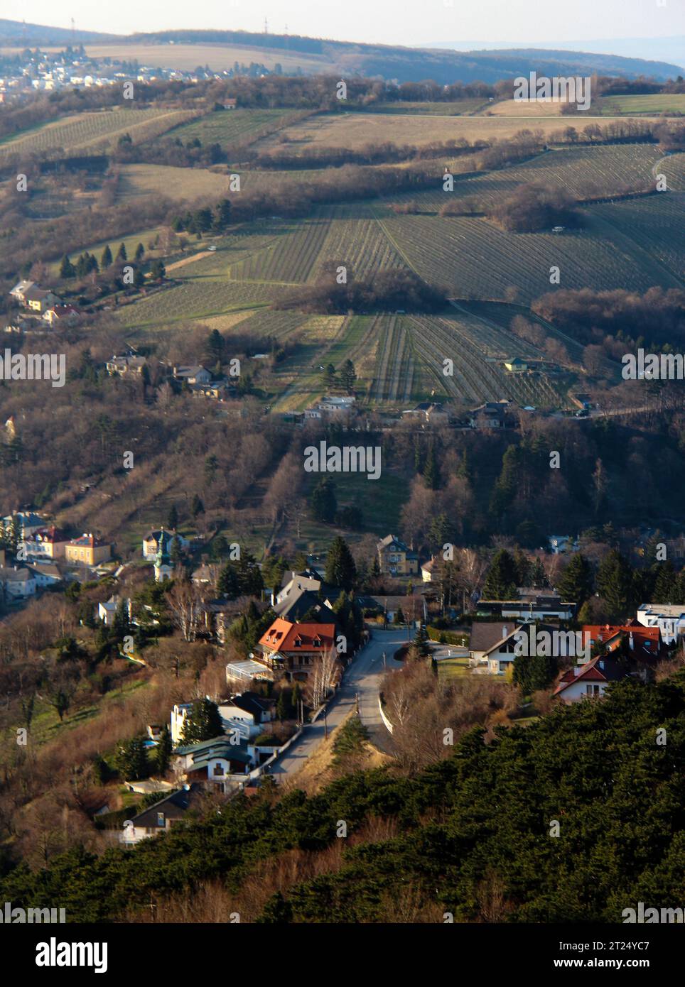 Hiking in the Vienna Woods wine region near the Austrian capital city ...