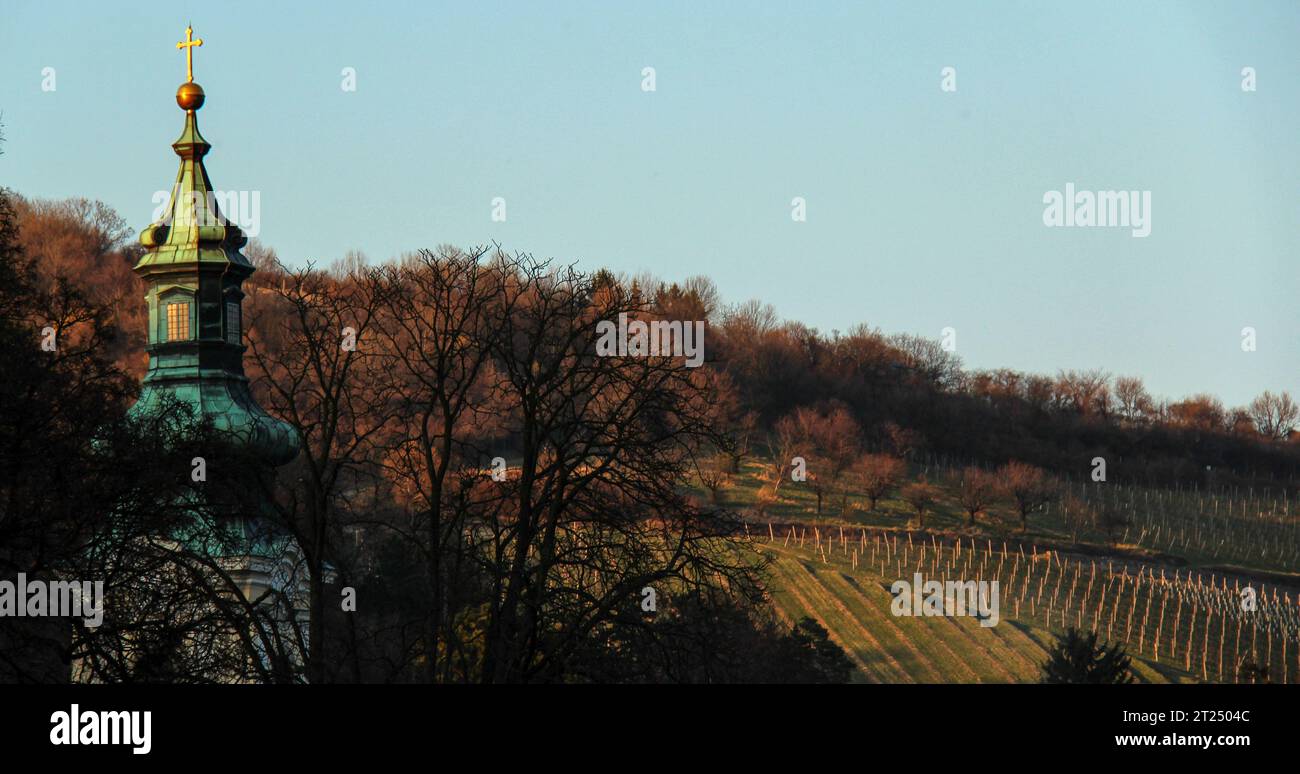 Hiking in the Vienna Woods wine region near the Austrian capital city ...