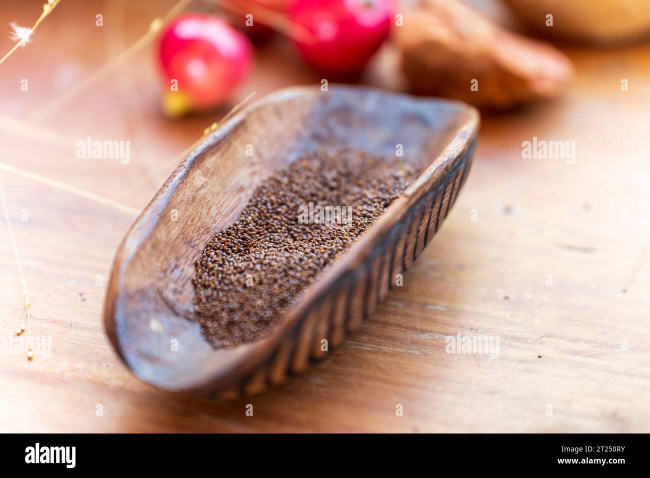 Aboriginal bush tucker. Central Australia Stock Photo - Alamy