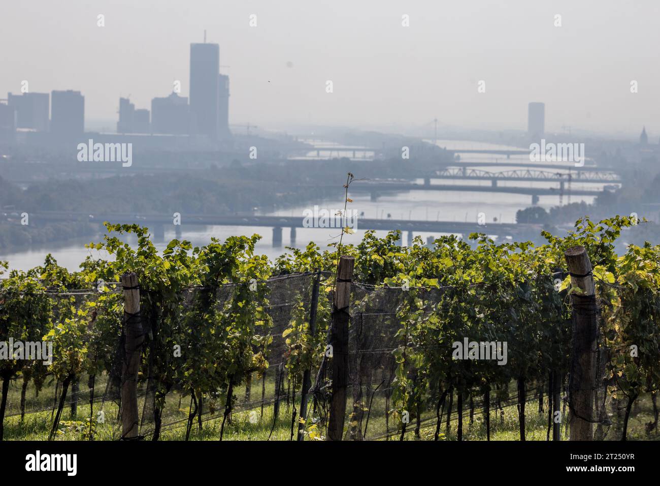 Hiking in the Vienna Woods wine region near the Austrian capital city ...