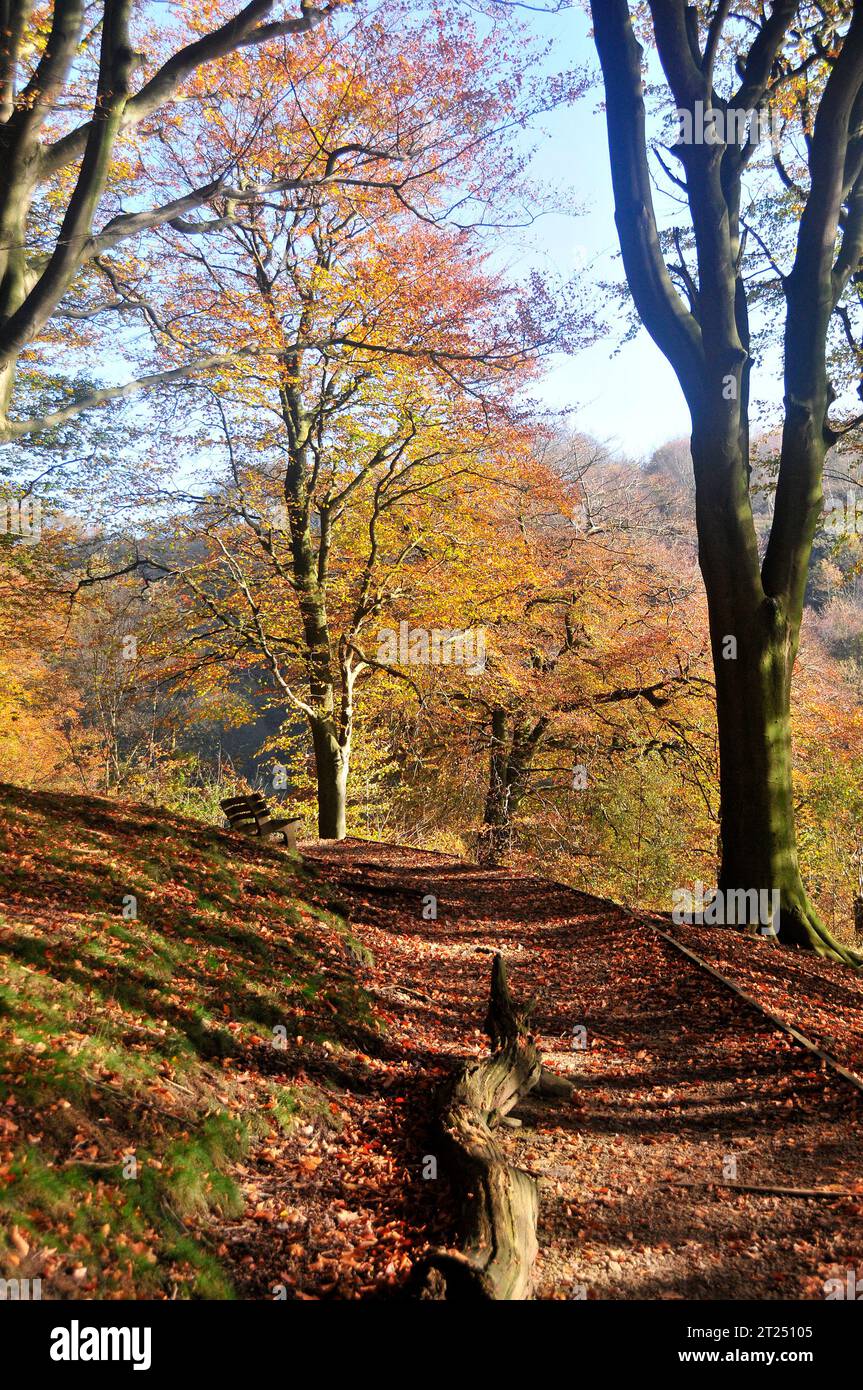 Around the UK - The Colours of Autumn around Rivington Country park ...