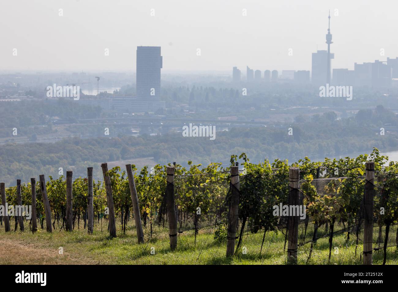 Hiking in the Vienna Woods wine region near the Austrian capital city ...