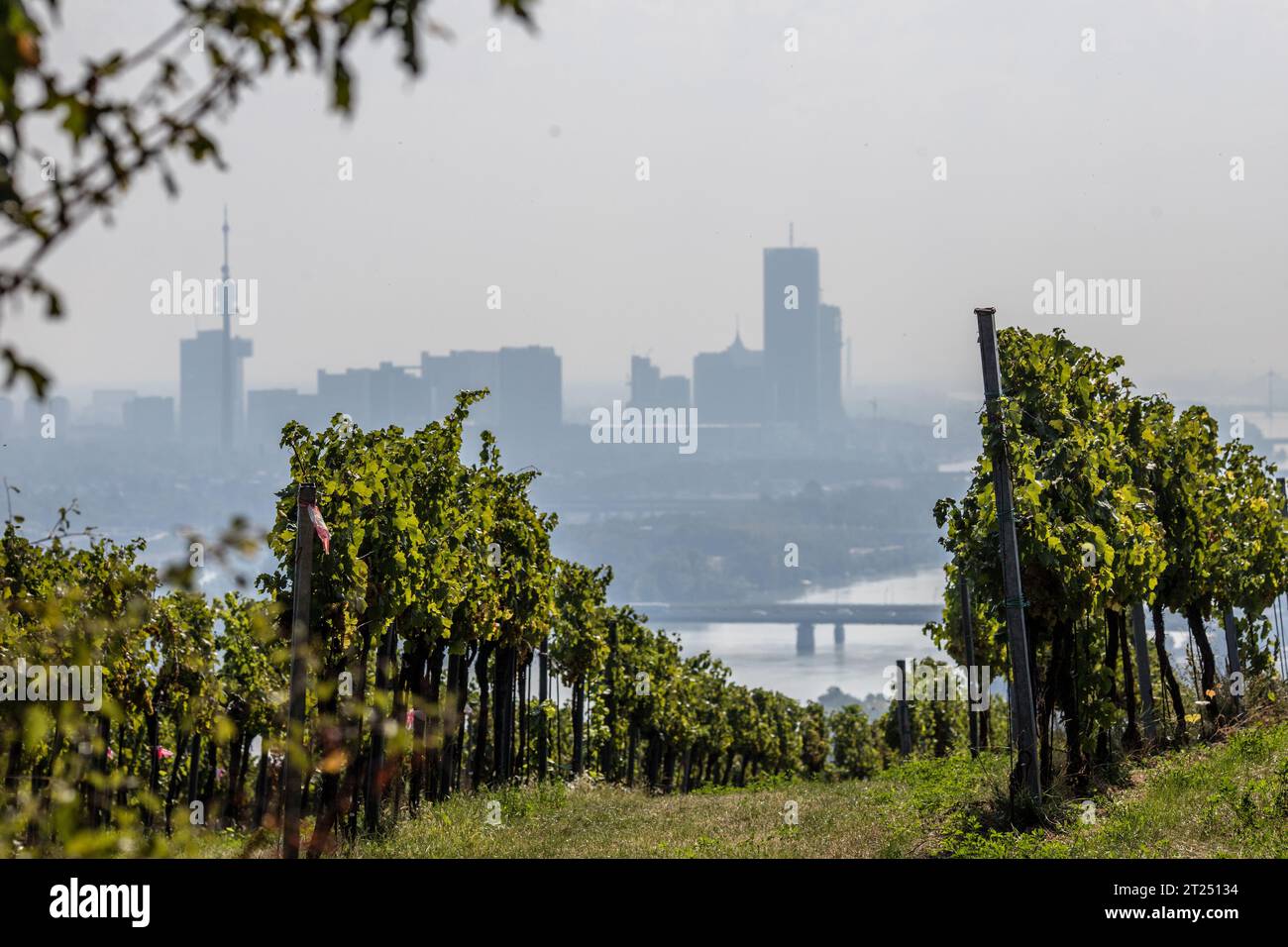 Hiking in the Vienna Woods wine region near the Austrian capital city ...
