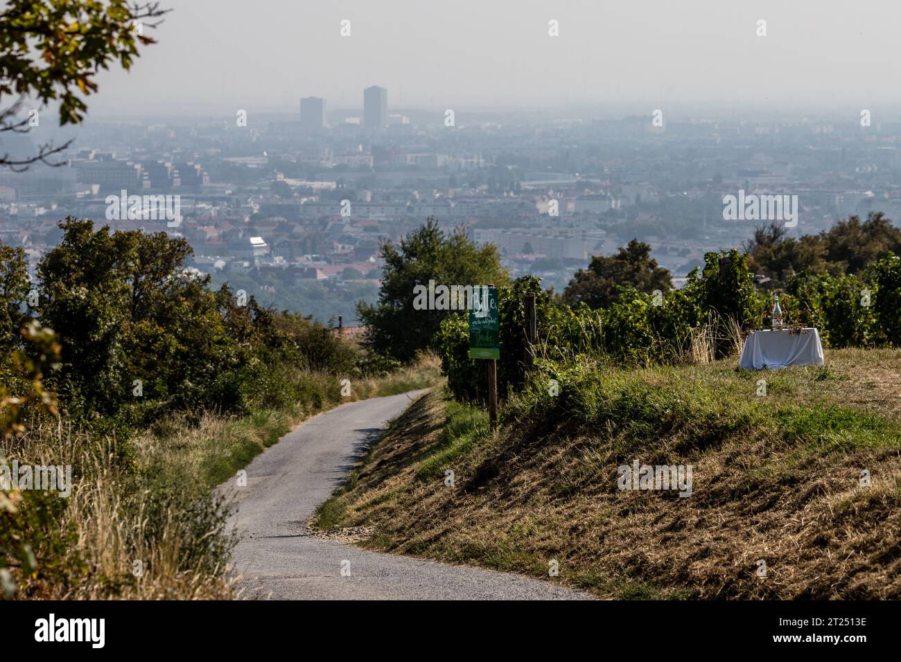 Hiking in the Vienna Woods wine region near the Austrian capital city ...