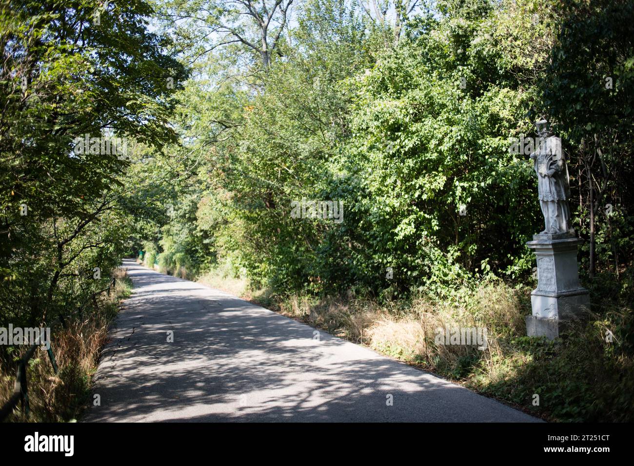 Hiking in the Vienna Woods wine region near the Austrian capital city ...