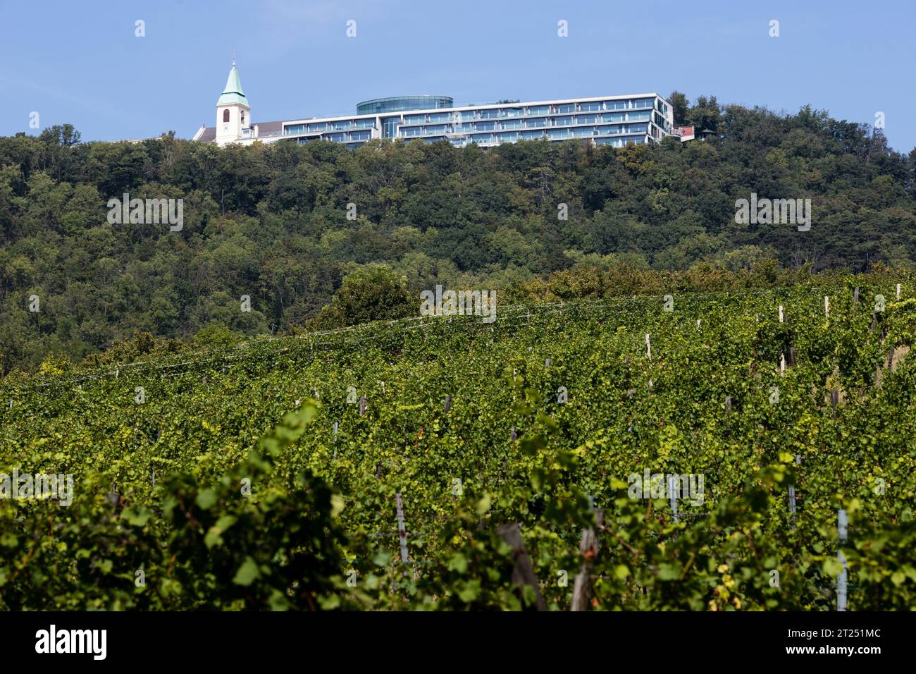 Hiking in the Vienna Woods wine region near the Austrian capital city ...