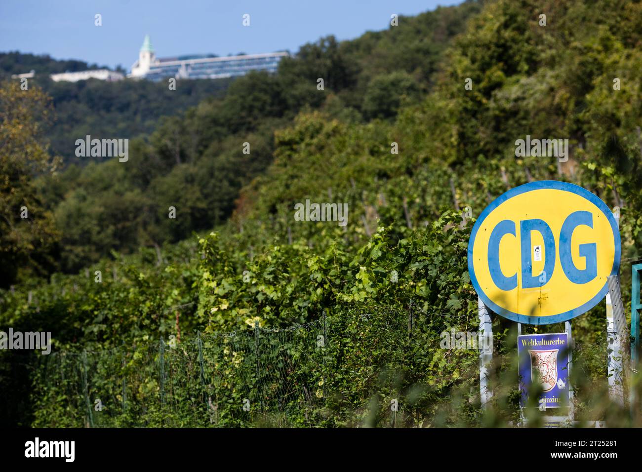 Hiking in the Vienna Woods wine region near the Austrian capital city ...