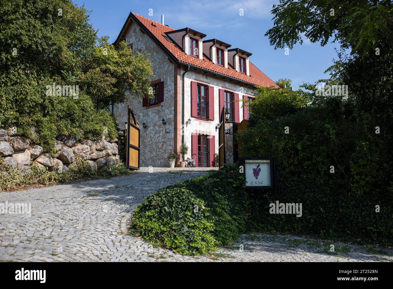 Hiking in the Vienna Woods wine region near the Austrian capital city ...