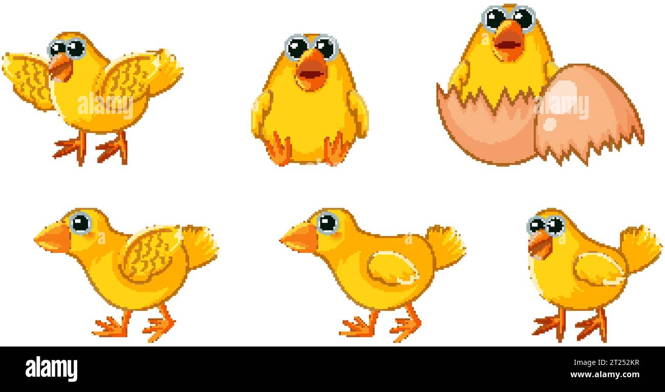 A collection of cute and charming baby chick cartoon characters Stock ...