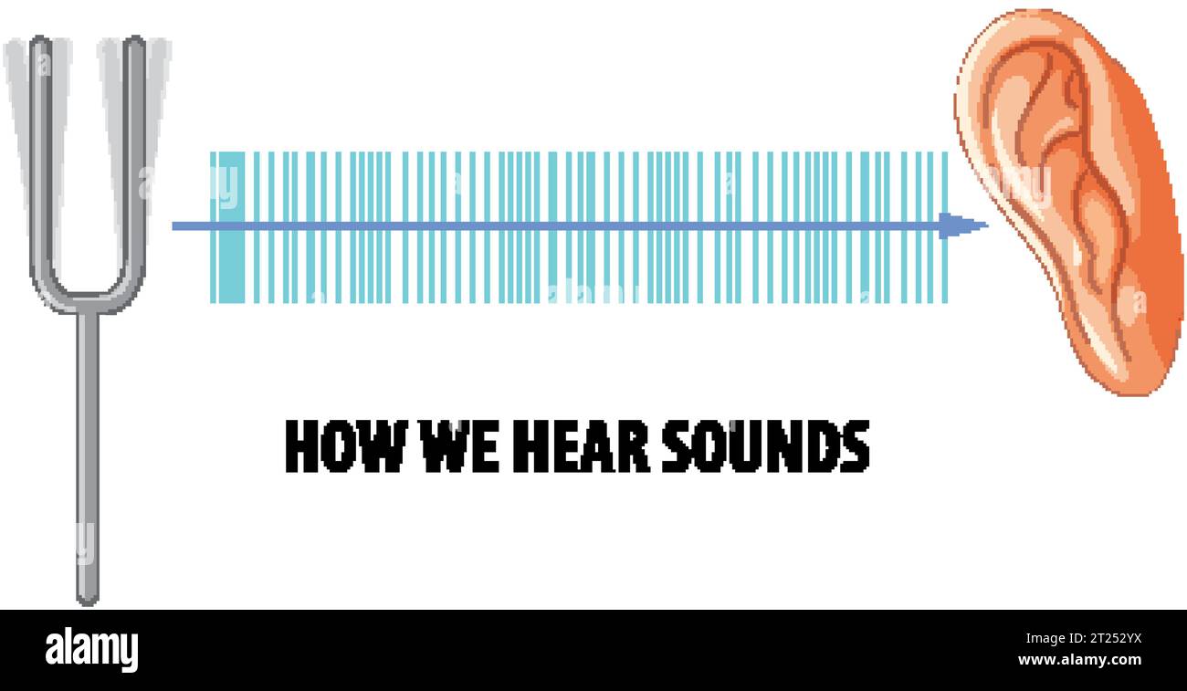 Illustration of sound traveling and tuning fork experiment in human ...