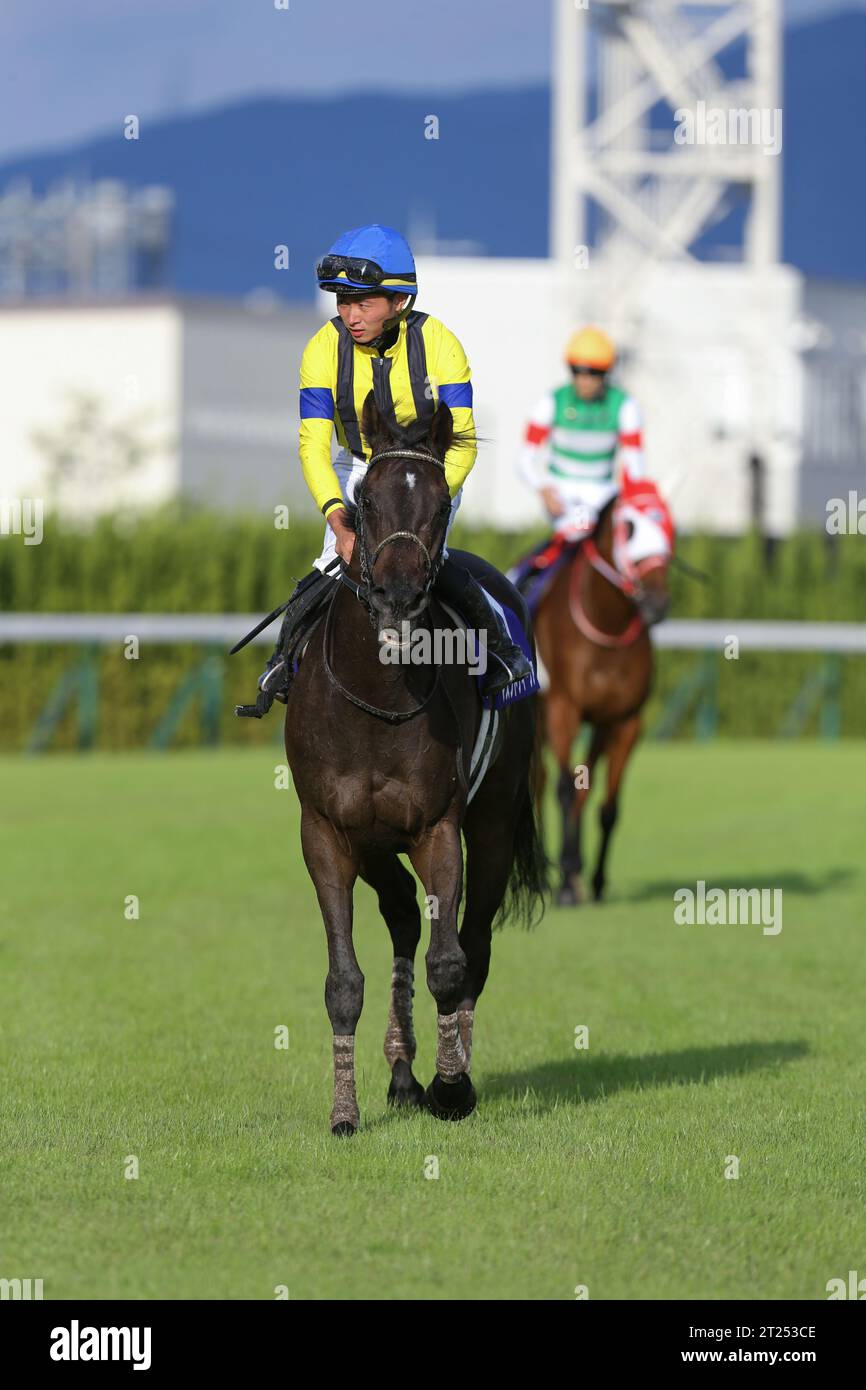 Masked diva hi-res stock photography and images - Alamy