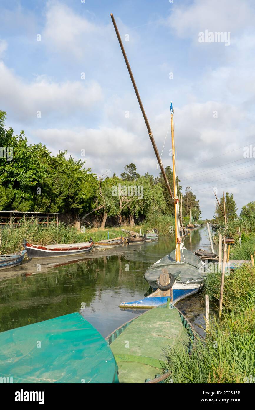 Traditional lateen sail fishing boats moored in a canal surrounded by a ...