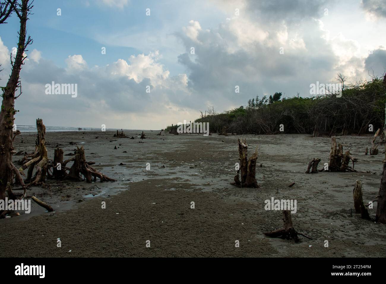 A dead beach and dramatic cloud at the dusk see-through the dead stream ...